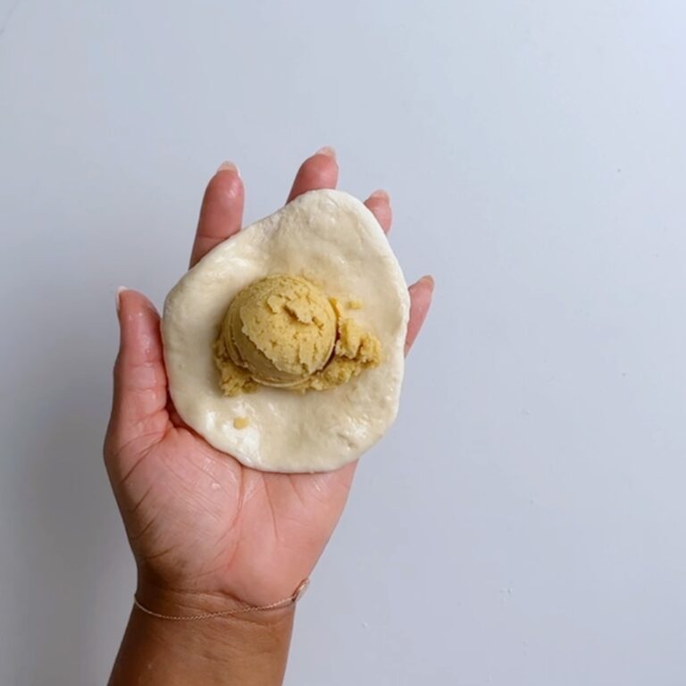Guyanese Dhal Puri - Metemgee