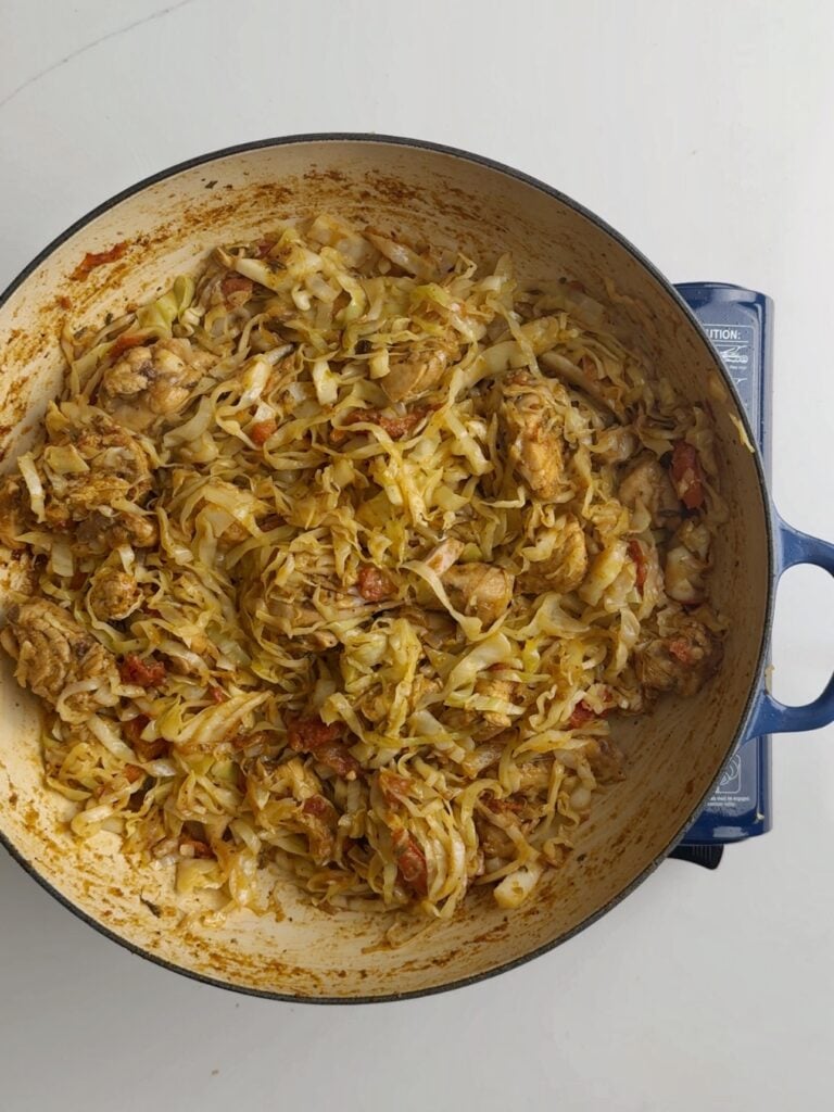 Cabbage and Chicken - Metemgee