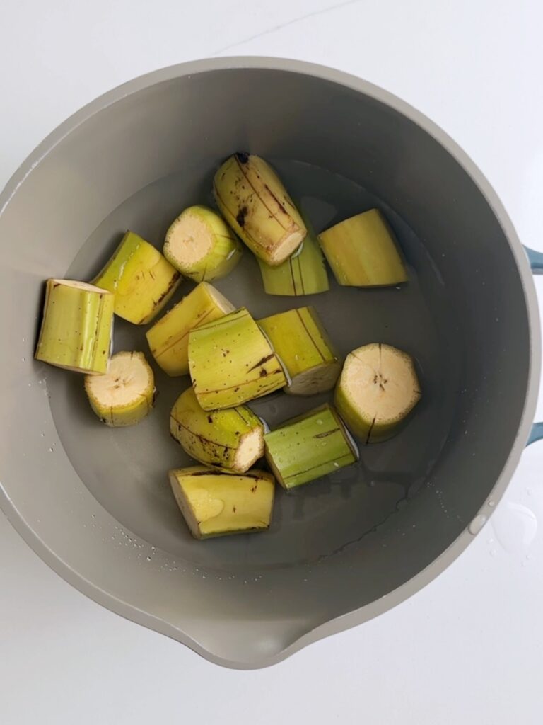 Plantain Roti (Plantain Tortilla) - Metemgee
