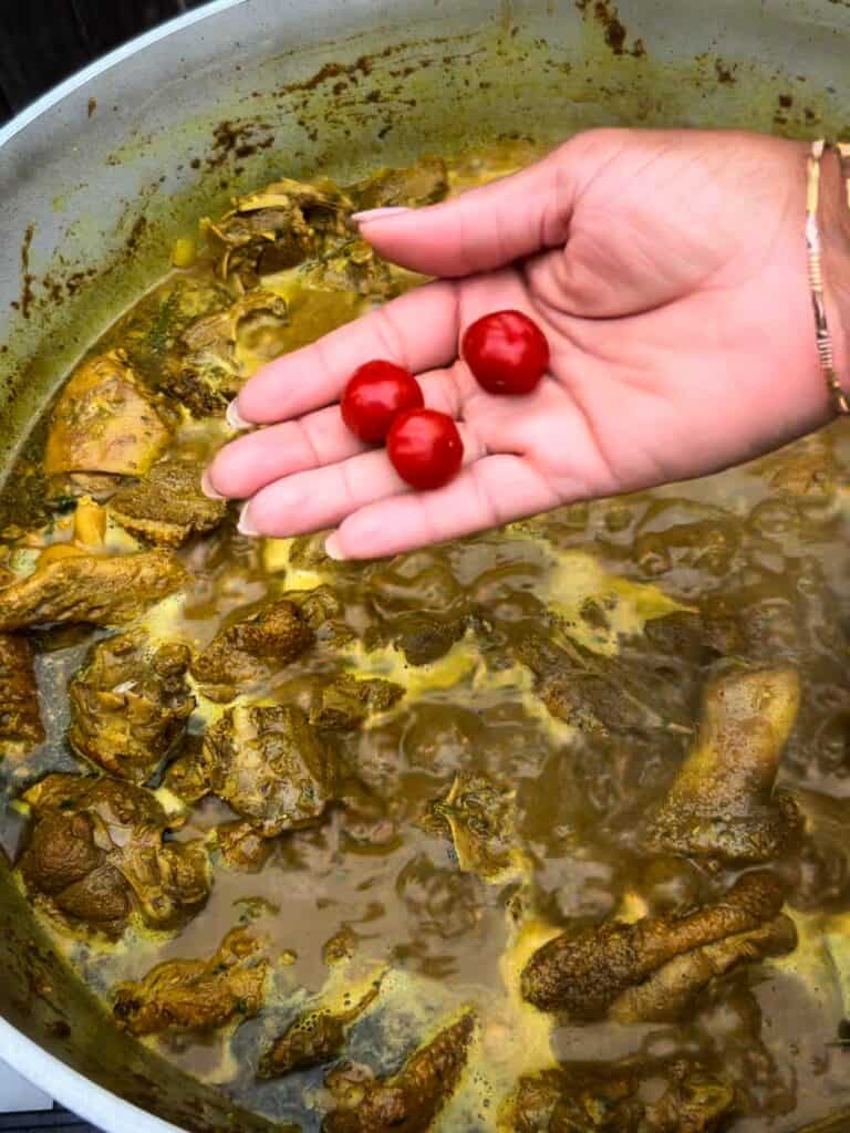 Guyanese Duck Curry - Metemgee