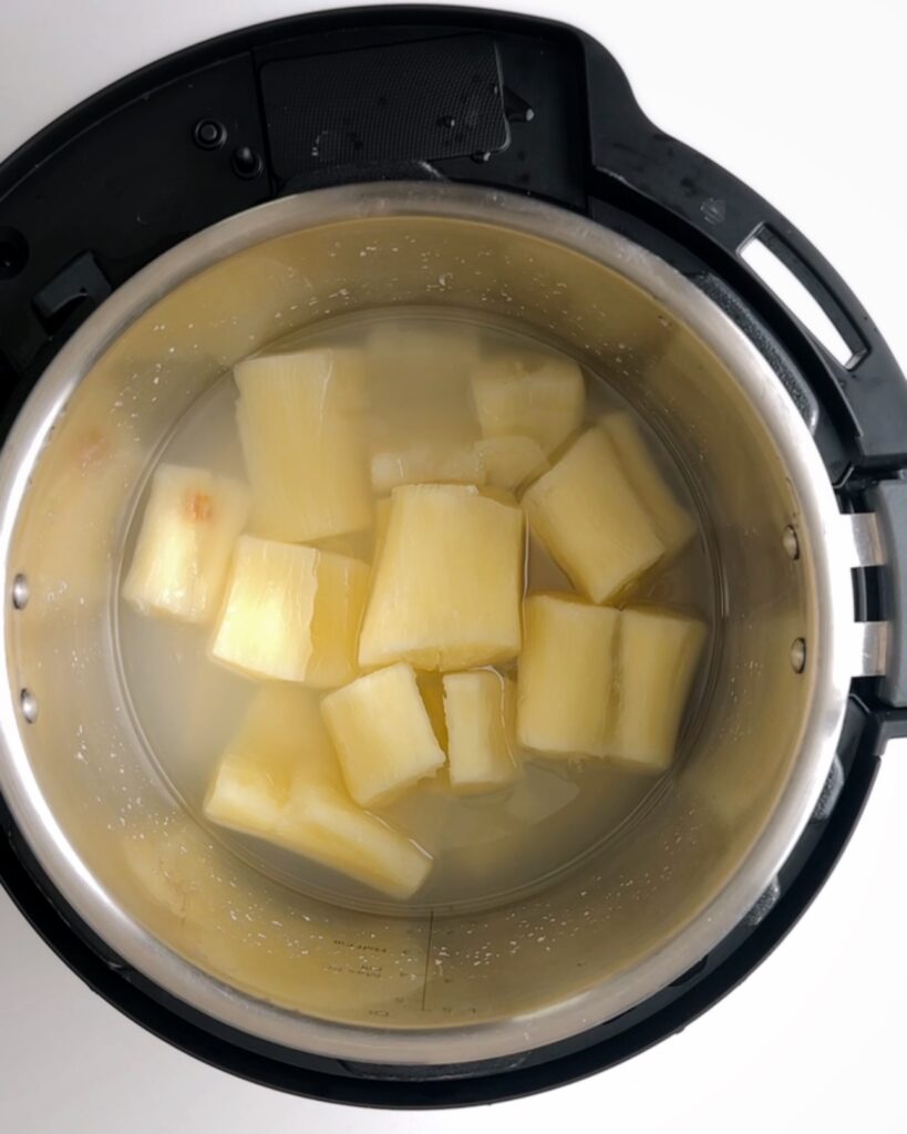 Cassava Roti (Cassava Tortilla) - Metemgee